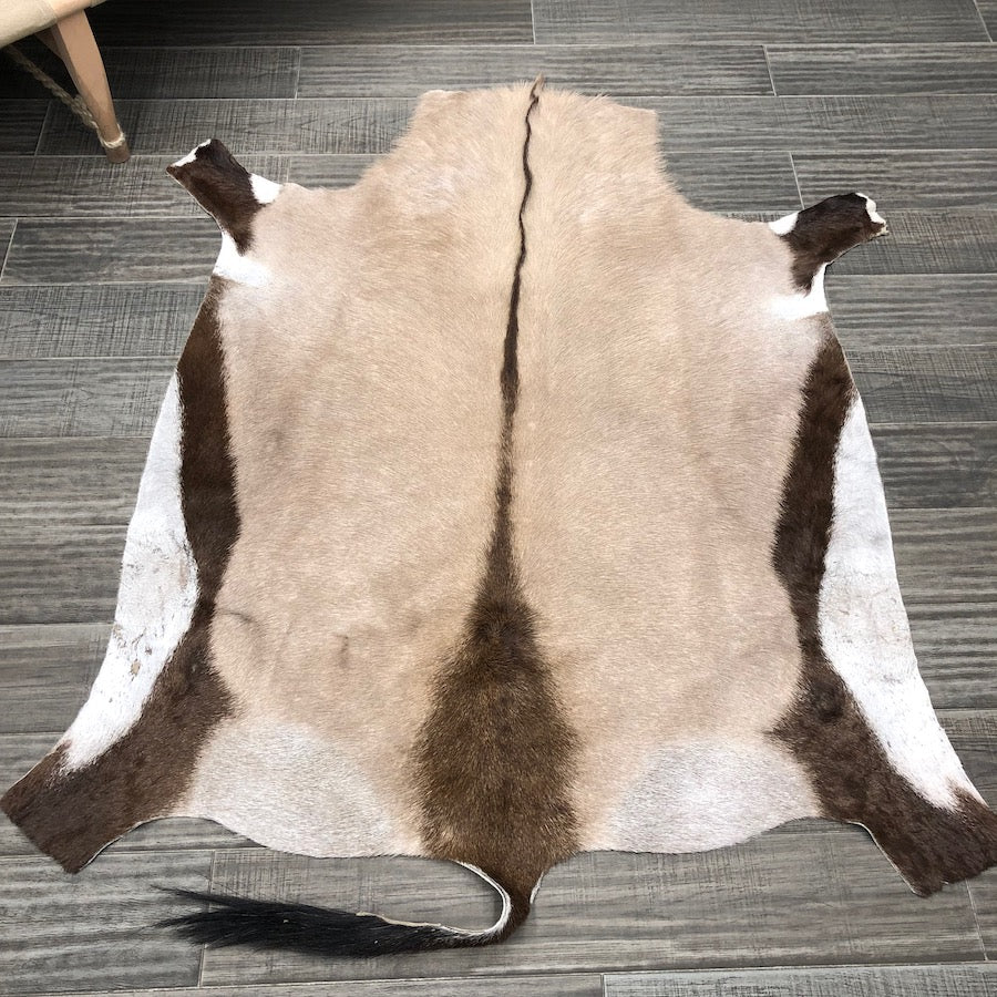 Gemsbok Hide | Home Decor | Hides of Excellence