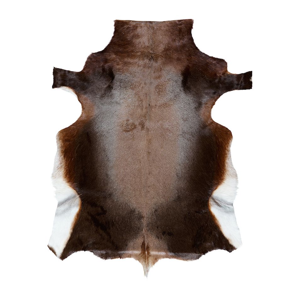 Genuine Blesbok Hide Rugs | Hides of Excellence