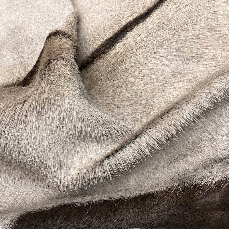 Gemsbok Hide | Rug | Hides of Excellence