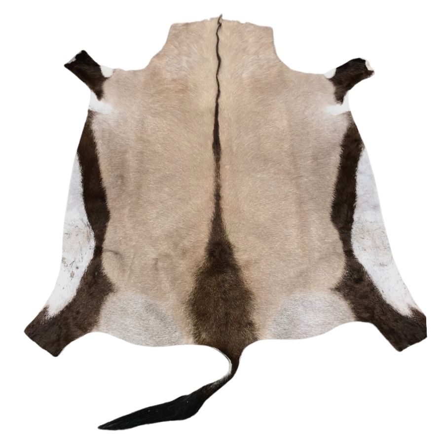 Gemsbok Hide | Rug | Hides of Excellence