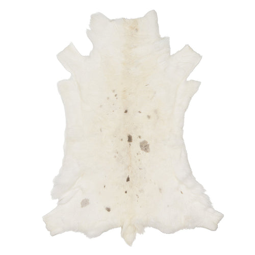 Genuine Albino Reindeer Hide | Spotted | Hides of Excellence