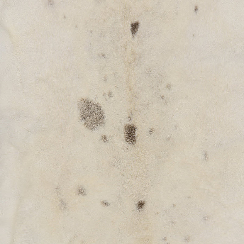Genuine Albino Reindeer Hide | Spotted | Hides of Excellence