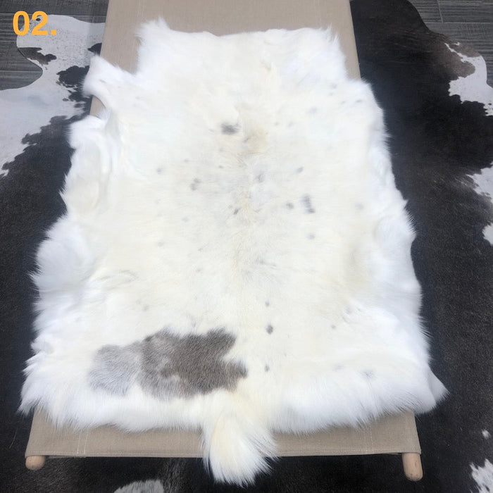 Genuine Albino Reindeer Hide | Spotted | Hides of Excellence